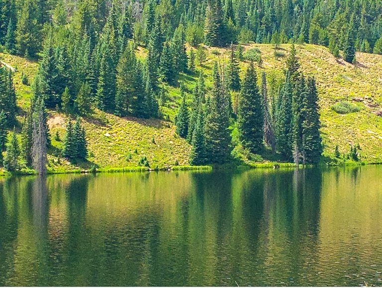Colorado Accessible Easy Nature Trails | Accessible Nature